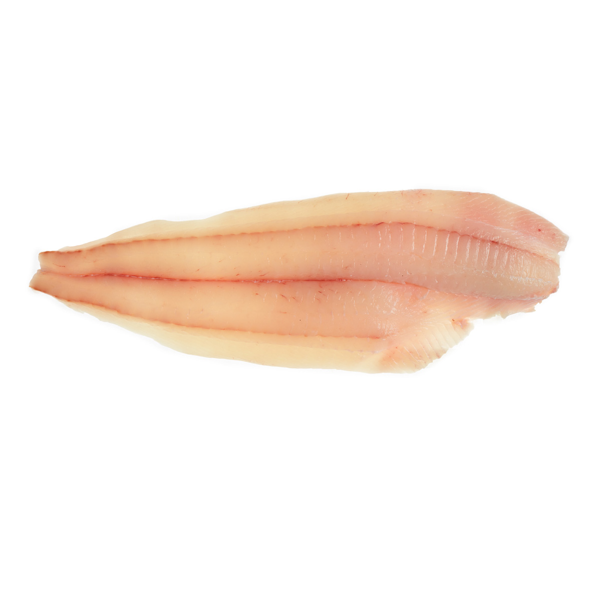 Skin On Pinbone Out Wild Atlantic Halibut Filets | Nova Scotia Halibut ...