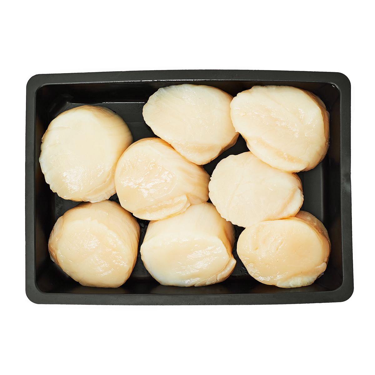 Wild Hokkaido Scallops U10 | U12 Scallop | Pierless Fish