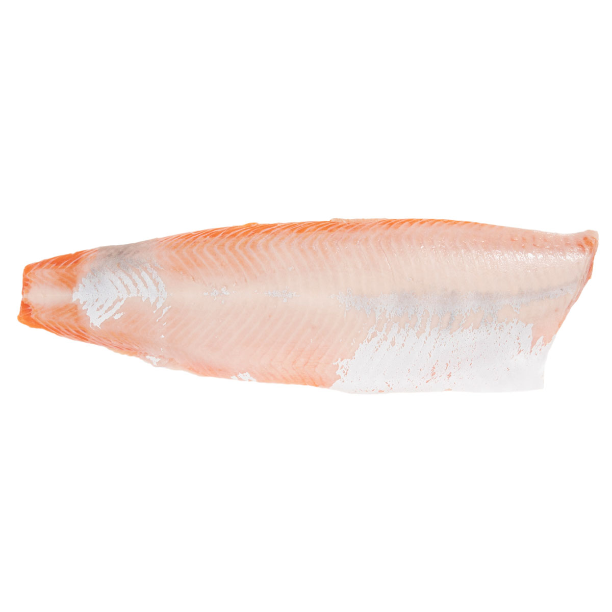 Skin Off Farmed Artic Char Filets | Arctic Char | Pierless Fish