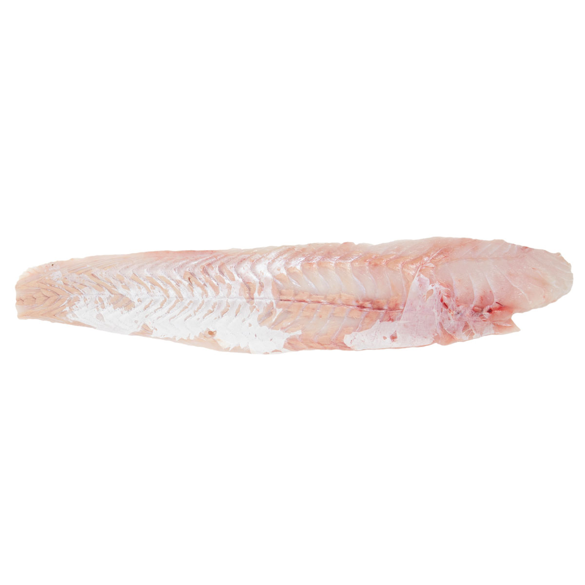 Skin Off Wild Atlantic Hake Filets | Atlantic Hake | Pierless Fish