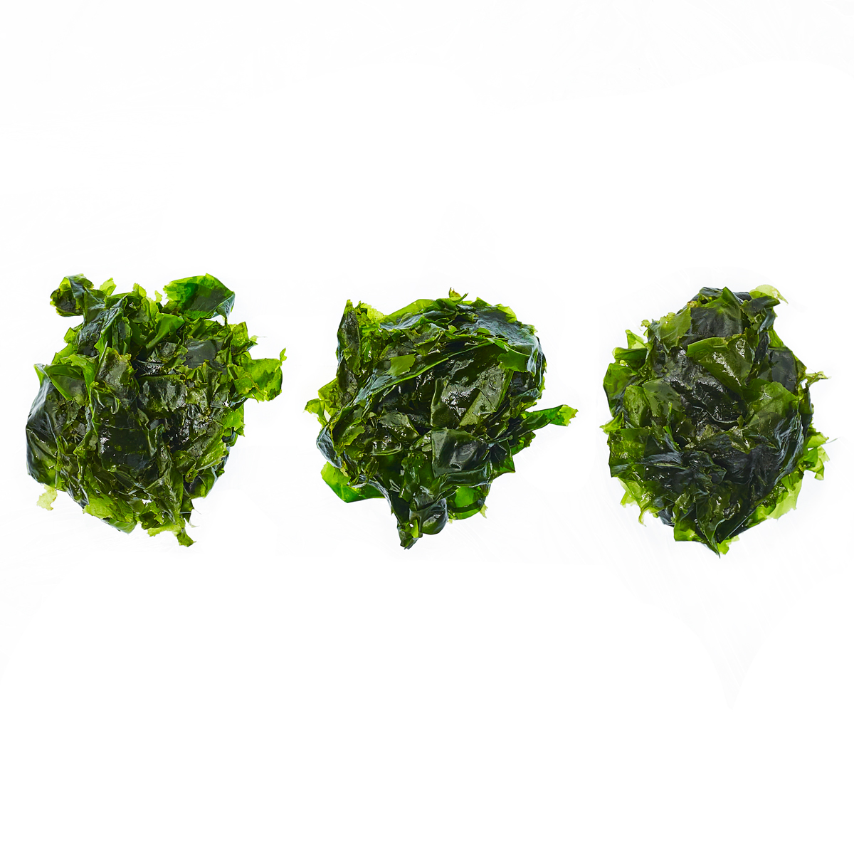 Edible Sea Lettuce Seaweed | Edible Seaweed | Pierless Fish