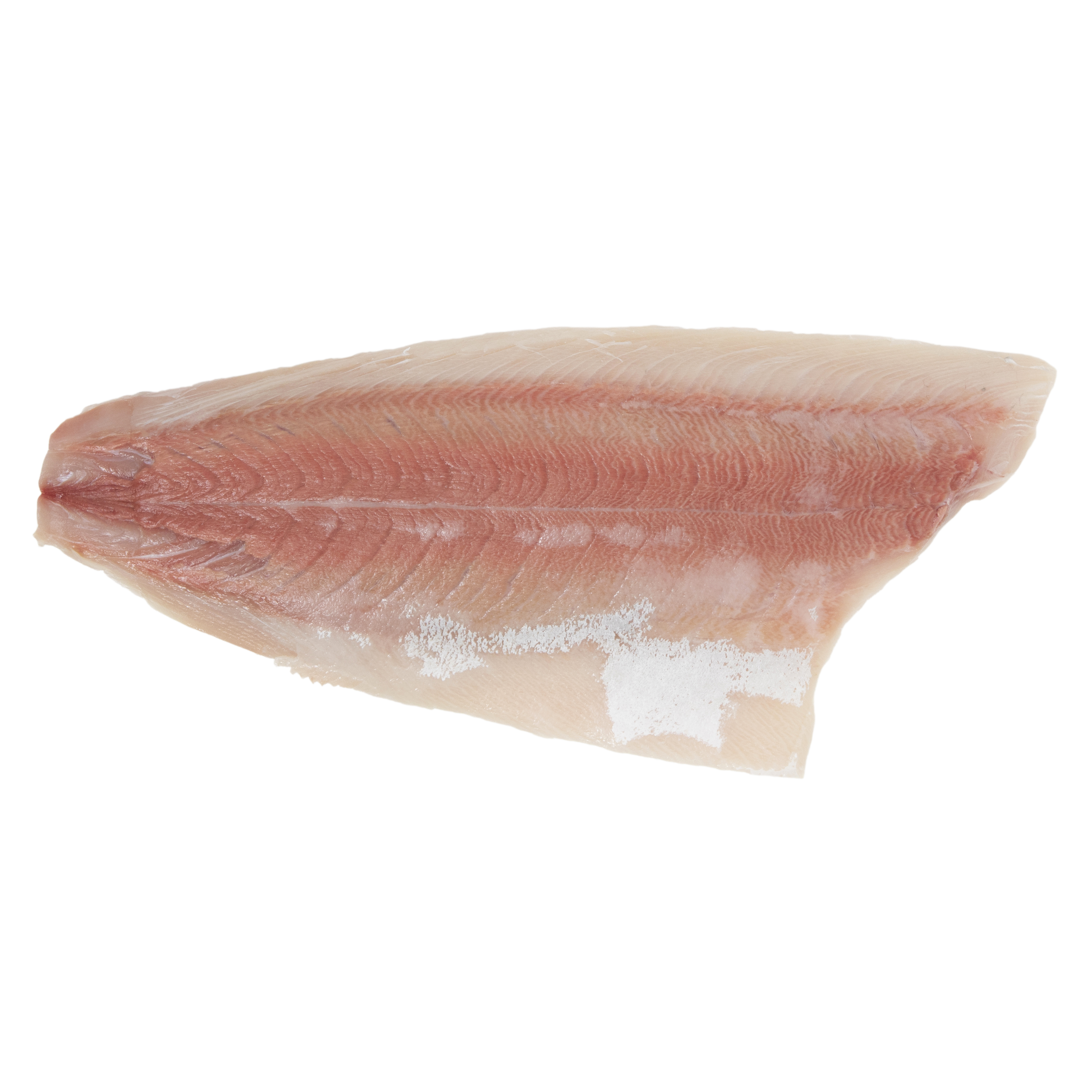 Skin Off Farmed Hiramasa Filet | Yellowtail Kingfish | Pierless Fish